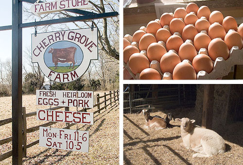 Eating Local | Jammin Crepes